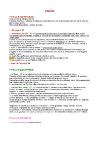 Riassunto Albert Camus | Schemi e mappe concettuali di Letteratura ...