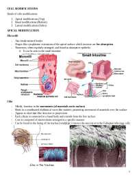 Biology - Cell Modifications | Lecture notes Biology | Docsity