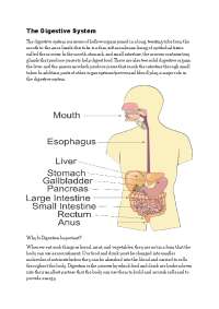 Digestive System and organs related to it. Its functions and importance ...