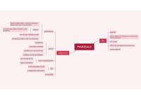 Mappe concettuali fatte a computer | Schemi e mappe concettuali di Latino | Docsity