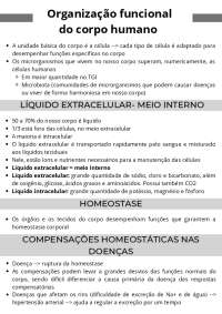 Organização funcional do corpo humano | Esquemas Fisiologia Humana ...