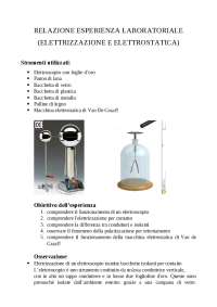 Relazione esperienza laboratoriale (elettrizazzione e elettrostatica) | Appunti di Fisica | Docsity