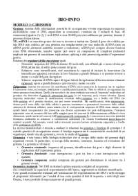 Bioinformatica Modulo 1 | Appunti di Bioinformatica | Docsity