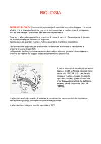 Biologia cellule eucariote | Schemi e mappe concettuali di Biologia | Docsity