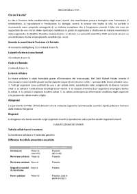 Schemi Programma Biologia Animale ed Etologia | Schemi e mappe concettuali di Biologia Animale ...