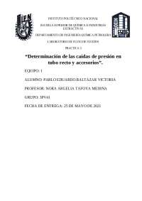 Practica 3-Tubo Recto y accesorios | Esquemas y mapas conceptuales de Física | Docsity