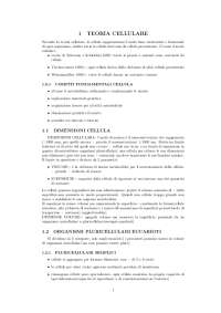 Caratteristiche cellula, procariote e eucariote | Schemi e mappe concettuali di Biologia | Docsity