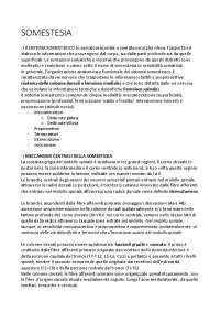 SOMESTESIA - Riassunto | Appunti di Fisiologia Umana | Docsity