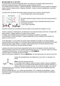 Metabolismo dei lipidi e proteine | Appunti di Chimica | Docsity