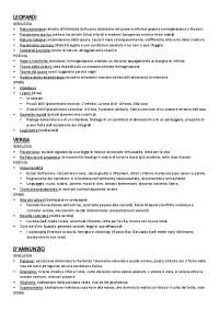 SCHEMA ITALIANO 5 SUPERIORE: Leopardi, Verga, Pascoli, Svevo, Pirandello e altri | Schemi e ...