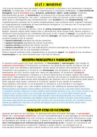 Microscopi, regioni anatomiche e quadranti | Sbobinature di Anatomia ...