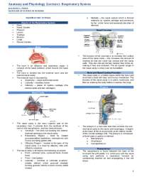 ANATOMY & PHYSIOLOGY_RESPIRATORY SYSTEM | Study notes Anatomy | Docsity