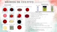 Medios de cultivo microbiologia | Esquemas y mapas conceptuales de Microbiología | Docsity