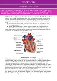 Physiology: the heart | Study notes Physiology | Docsity