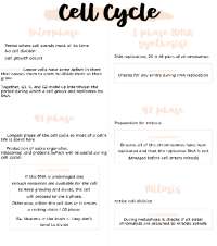 The mitotic cell cycle - Cambridge IGCSE Biology notes | Study notes ...