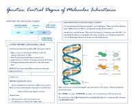 Genetics - Central Dogma Introduction | Study notes Genetics | Docsity