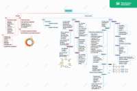 Mapa conceptual del ciclo celular | Esquemas y mapas conceptuales de Biología | Docsity