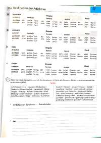 Esercizi declinazione aggettivi | Esercizi di Tedesco | Docsity