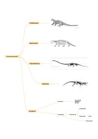 Schema di classificazione degli archosauromorpha | Schemi e mappe ...