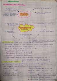 Metodologia educativa all'asilo nido | Appunti di Scienze Umane | Docsity