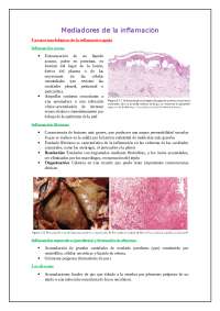 Resumen sobre mediadores de la inflamación de Robbins Patología humana ...