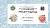 Pares craneales: XI y XII_Diapositivas | Diapositivas de Semiología | Docsity
