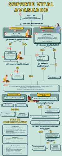 Algoritmo de Soporte Vital Avanzado (SVA) y RCP | Esquemas y mapas conceptuales de Clínica ...