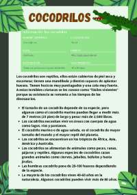 Características de los cocodrilos | Monografías, Ensayos de Biología ...