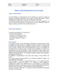 Relazione su massa e forza peso | Schemi e mappe concettuali di Fisica ...