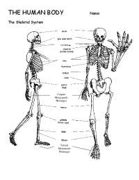 The Human Body Notes: 7 parts of body human explanation with the ...