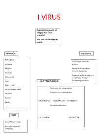 Schema caratteristiche virus | Schemi e mappe concettuali di Scienze ...