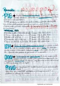 Resumo sobre algumas siglas como: PIB, IDH, ONU e PNUD. | Notas de estudo Geografia | Docsity