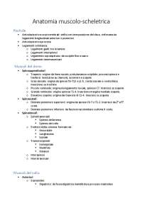 Elenco articolazioni e muscoli | Schemi e mappe concettuali di Anatomia | Docsity