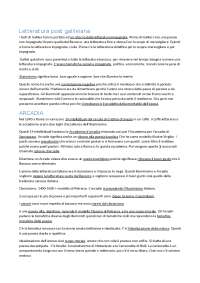 Appunti di letteratura italiana su Arcadia e illuminismo | Appunti di Italiano | Docsity