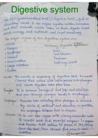Digestive system notes | Study Guides, Projects, Research Medical ...