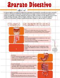 Resumen del aparato digestivo | Resúmenes de Anatomía | Docsity