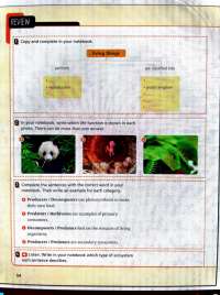 Repaso natural science byme 4 primaria tema 3 | Ejercicios de ...