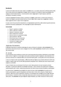 Appunti di anatomia con tutti i sistemi apparati | Appunti di Anatomia | Docsity