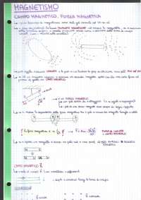 CAMPO MAGNETICO E MAGNETISMO | Appunti di Fisica | Docsity