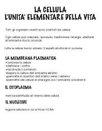 LA CELLULA, l'unità elementare della vita | Schemi e mappe concettuali ...
