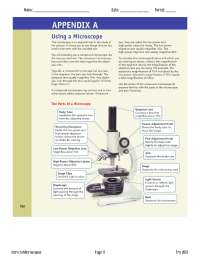 Microscope Use and Expectations | Exercises Biology | Docsity