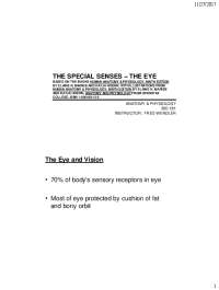 The special senses – the eye | Exams Anatomy | Docsity