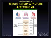 VENOUS RETURN & FACTORS AFFECTING VR | Exercises Physiology | Docsity