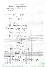 Ejercicios de Cálculo diferencial y integral (Física) Gratis y online en PDF | Docsity