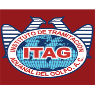 Profesores Instituto de Tramitación Aduanal del Golfo (ITAG) - Docsity