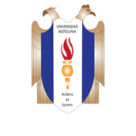 Universidad Motolinía: opiniones de los estudiantes, profesores y ...