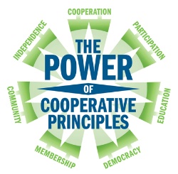 Values and 7 Principles of Co-operative - Docsity