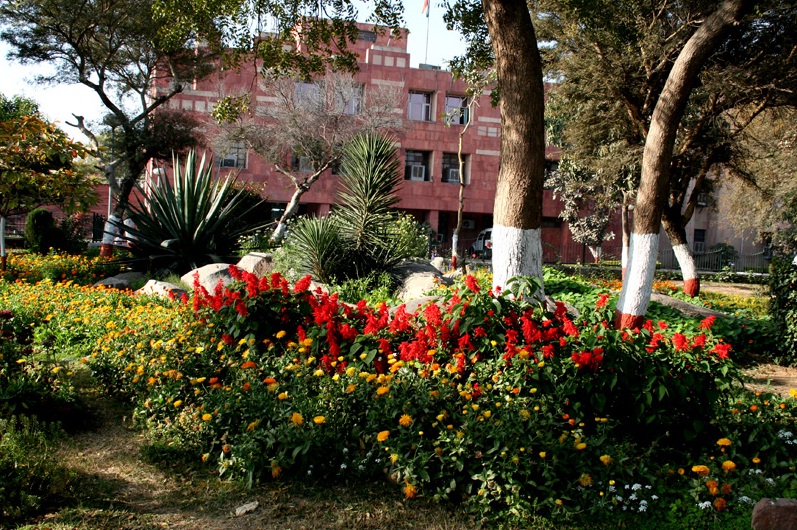 The Nurturing Tree of Knowledge-Jawaharlal Nehru University - Docsity
