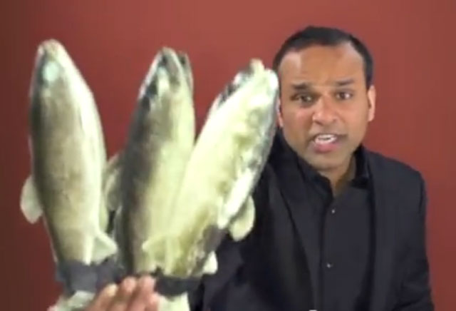 One Pound Fish Sensation In Britain!!!! - Blog EN