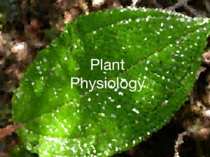 Plant Physiology related processes explained with the help of GIFs ...